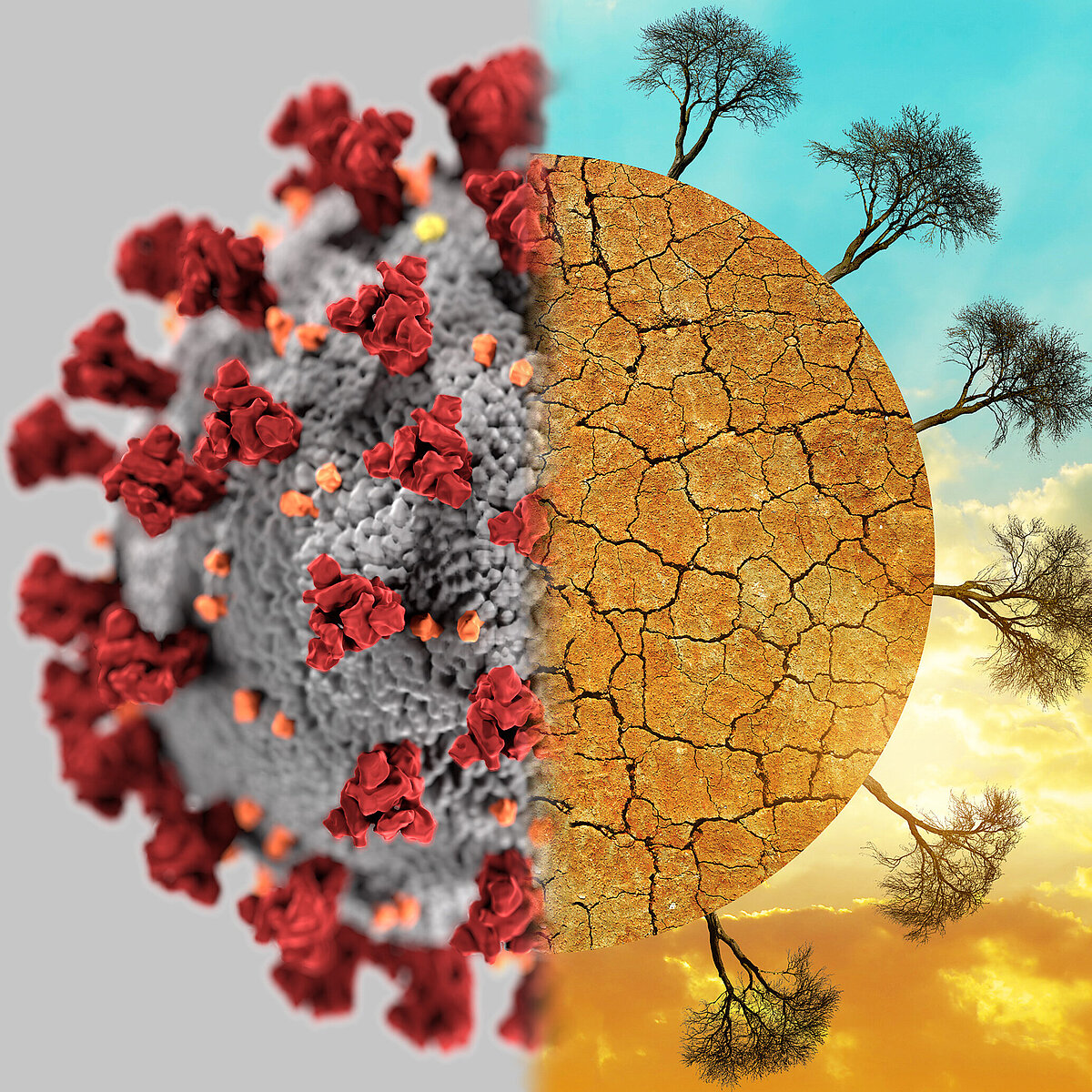 Herrenhausen Conference: Climate crisis and systemic risks: Lessons ...